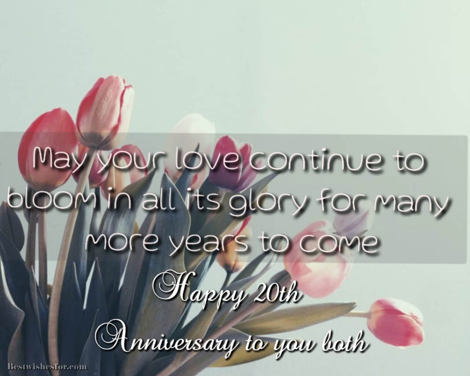 Happy 20th Wedding Anniversary Wishes Quotes